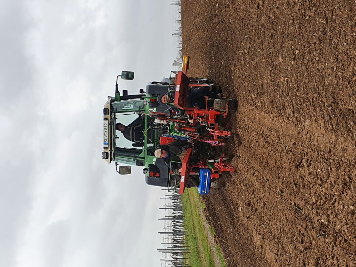 INFOS ZUR JAHRESZEIT | Weingut Krieger